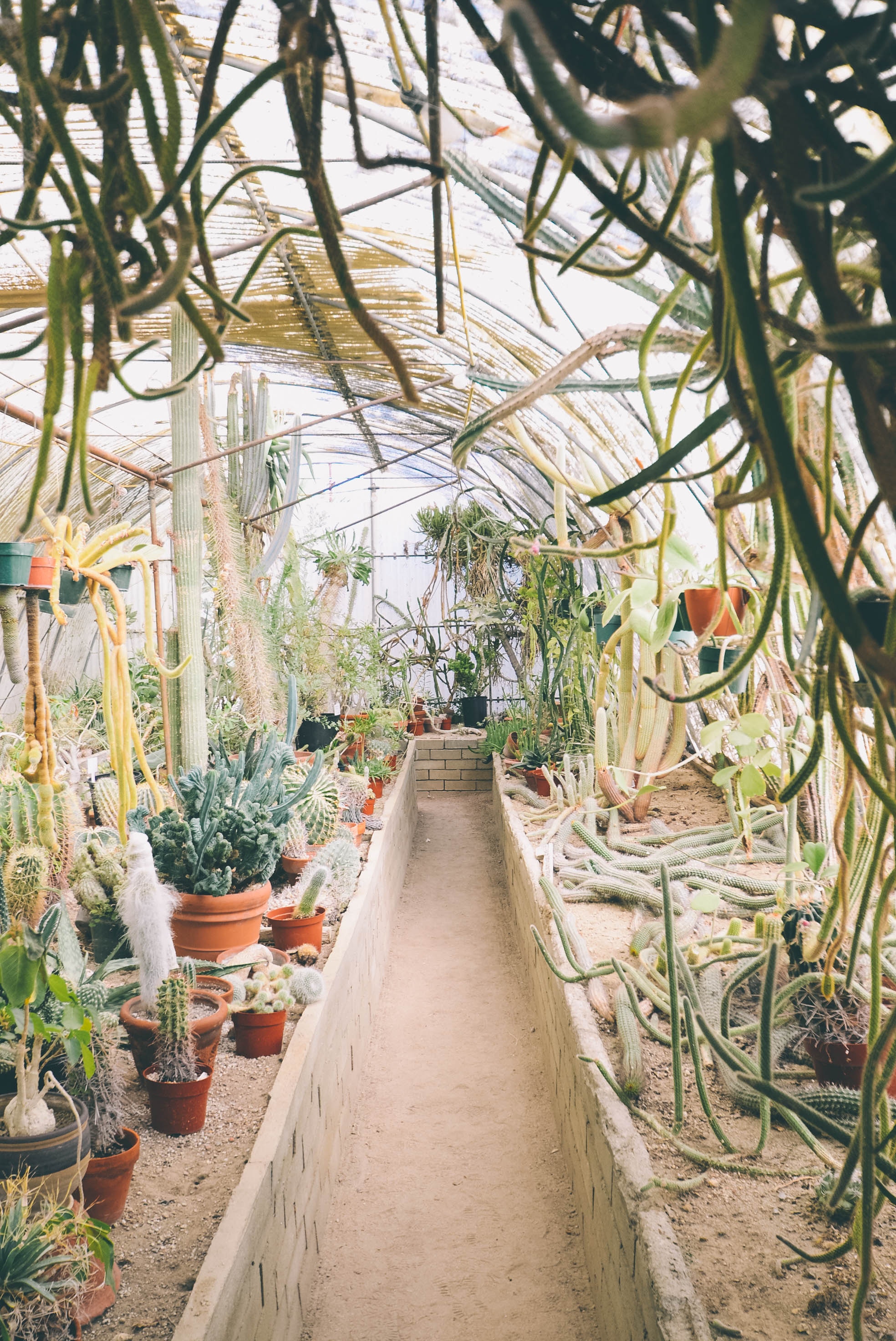 6 Simple Rules for Designing a DIY Home Garden - Lives On